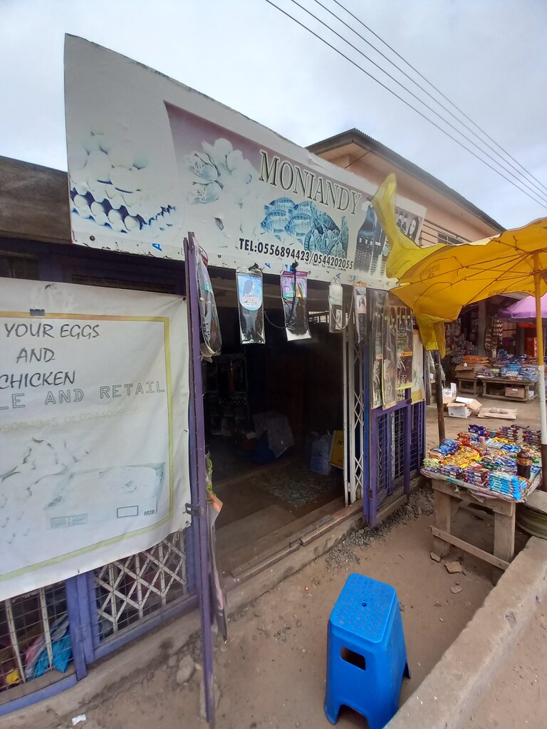 Güzellik salonu Moniandy, Dünya, foto