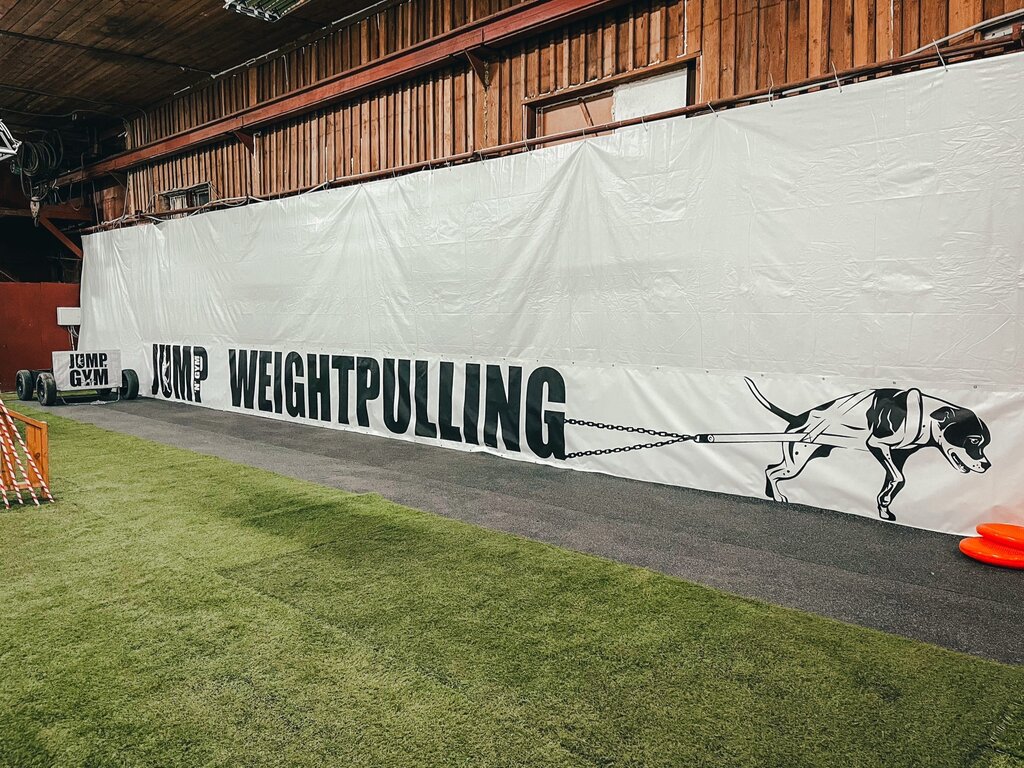 Hayvanat bahçesi merkezi Jump'n'Gym, Moskova, foto