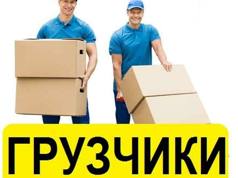 Taşımacılık hizmetleri Trudyagin, Saint‑Petersburg, foto