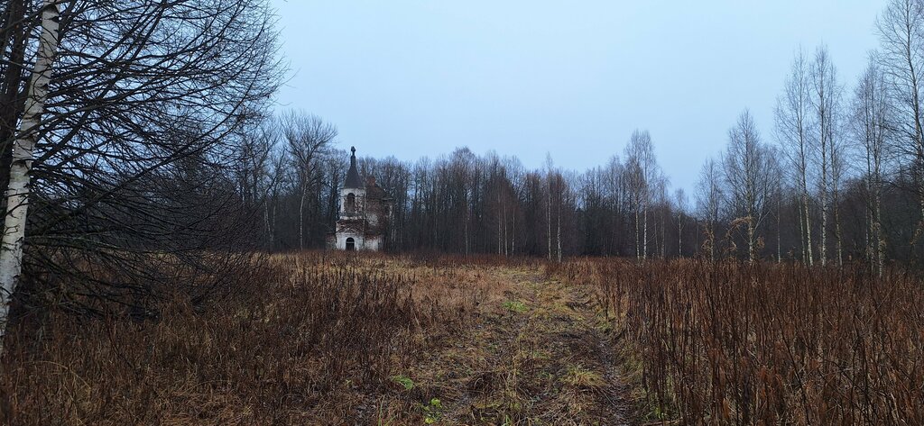 Ortodoks kiliseleri Tserkov Vvedeniya Presvyatoy Bogoroditsy vo Khram V Churikovo, Tverskaya oblastı, foto
