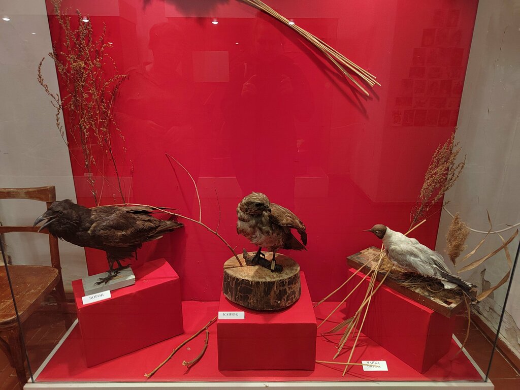Müzeler ve sanat galerileri Krayevedchesky muzey, Kurganskaya oblastı, foto