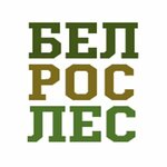БелРосЛес (Lenina Street No:77А, selo Tri Protoka), kereste üretim ve satış şirketleri  Astrahanskaya oblastından