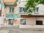 Переводы (Kalinina Street No:3), tercüme büroları  Volgograd'dan