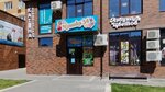 Азбука цветов (50 Let Oktyabrya Street No:20А), çiçekçiler  Volgograd'dan