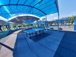 Спортивный комплекс Веер (Leningrad Region, Luga, Gorodskoy sad), spor alanı  Luga'dan