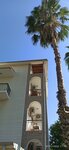 Second Home Boutique Hotel (Çamyuva Mah., 157. Sok., No:7, Kemer, Antalya), otel  Kemer'den