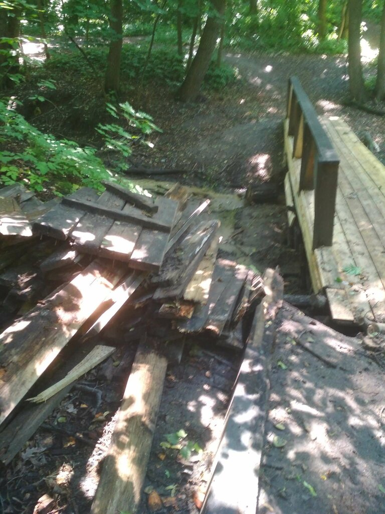 Devlet kurumları ve bakanlıklar Министерство природных ресурсов и экологии, Ulyanovsk, foto