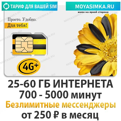 i̇nternet portalları Moyasimka, Krasnodar, foto