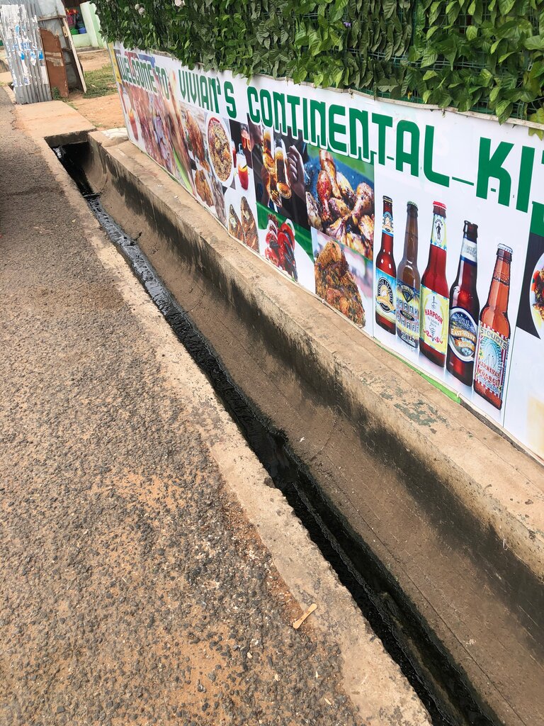 Kafe Vivian's Continental Kitchen, Dünya, foto