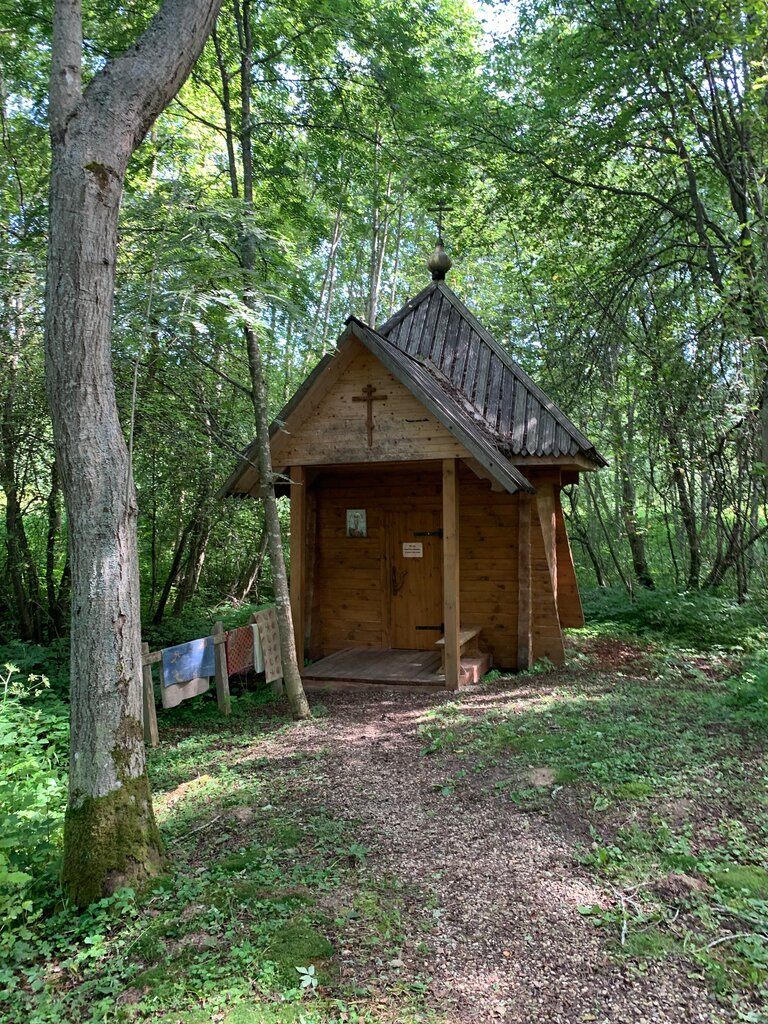 Pınar, çay Святой источник Параскевы Пятницы, Smolenskaya oblastı, foto