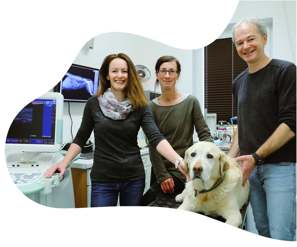 Veteriner klinikleri Tierarztpraxis Trofaiach Dr. Mörtl & Mag. Frisch, Steiermark, foto