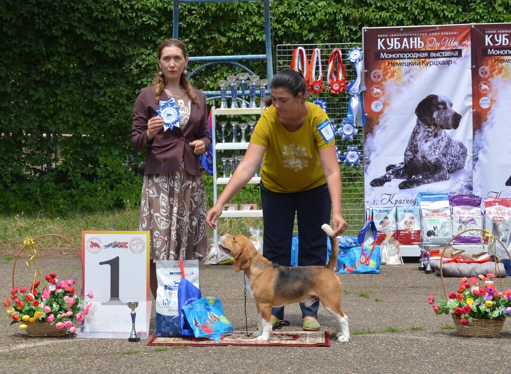 Evcil hayvan yetiştiricileri To Be Lucky, Orel, foto