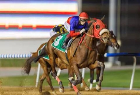 Dubai Racing Club, sports club, 3, Al Meydan Street, Dubai, United Arab ...
