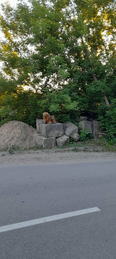 Orman işleri Ustyuzhensky leskhoz, Ustugna, foto