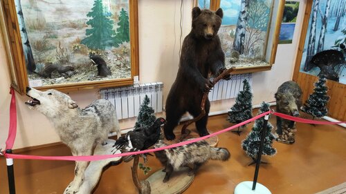 Müzeler ve sanat galerileri Kilmezsky krayevedchesky muzey Mkuk, Kirovskaya oblastı, foto