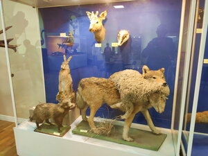 Rostov local lore museum (Bolshaya Sadovaya Street No:79, Rostov-on-Don), müzeler ve sanat galerileri  Rostov‑na‑Donu'dan