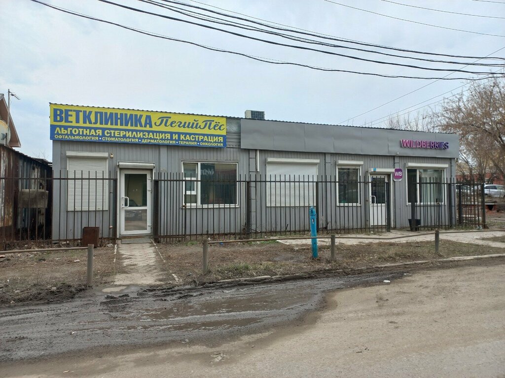 Veteriner klinikleri Пегий Пëс, Omsk, foto