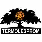Termolesprom (Parkovaya ulitsa No:1, Noginsk), ahşap endüstrisi  Noginsk'ten