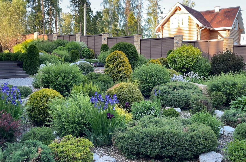 Peyzaj tasarımı MegoSad, Moskova, foto