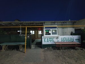 У Ирины (Vokzalnaya Street No:1А, settlement of Elton, Russian Federation), kafe