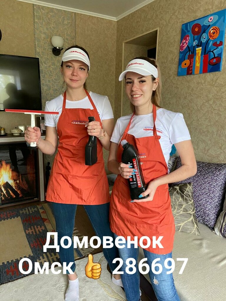 Temizlik şirketleri Домовёнок, Omsk, foto