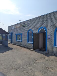 Кафе (Bryansk Region, Sevskiy rayon, Pushkinskoye selskoye poseleniye), kafe