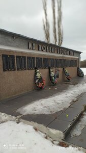 Участникам Великой Отечественной войны (Leninskaya ulitsa No:58А, selo Ostrovki), anıt, heykel  Voronejskaya oblastından