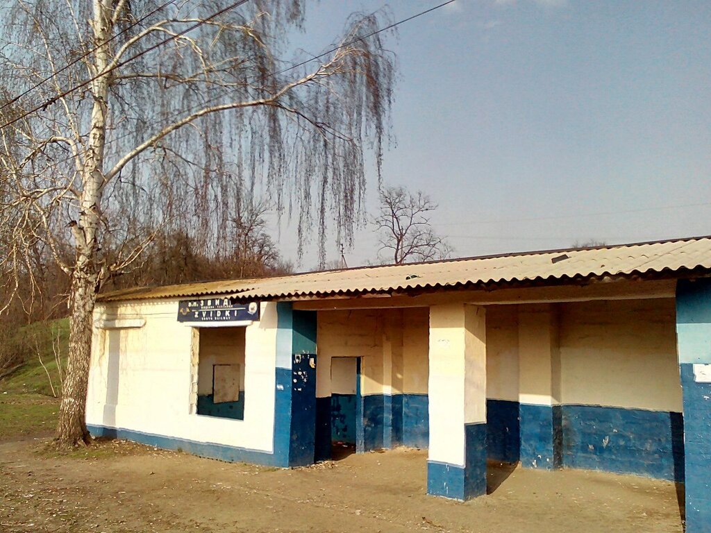 Tren istasyonu остановочный пункт Звидки, Harkivska oblastı, foto