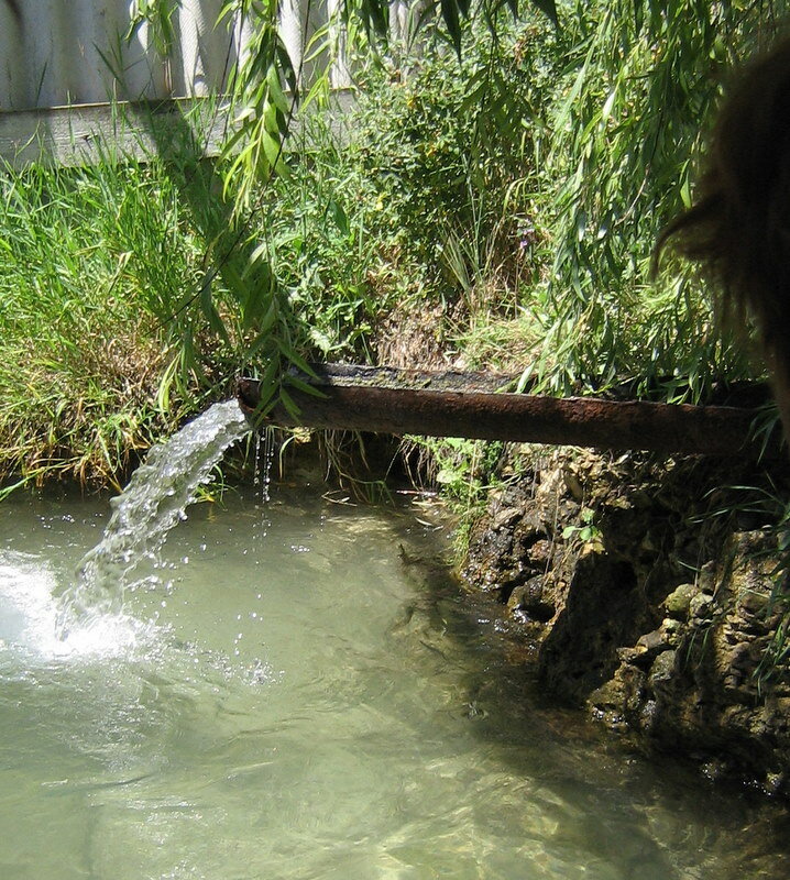 Pınar, çay Spring, stream, Donetsk Bölgesi, foto