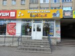 Барбосик (Rizhskiy Avenue No:6), petshop  Pskov'dan