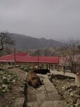 Школа (Chokhskaya ulitsa No:1, selo Chokh), ortaokul  Dağıstan'dan