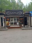 Tantuni (Shevchenko Street No:23А), fast food  Tomsk'tan