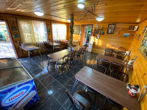 У Тонечки (Samarskaya ulitsa No:39, selo Shiryayevo), kafe  Samarskaya oblastından