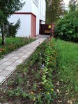 Уютные номера (ulitsa Karla Marksa No:61Б), otel  Ostrogojsk'tan