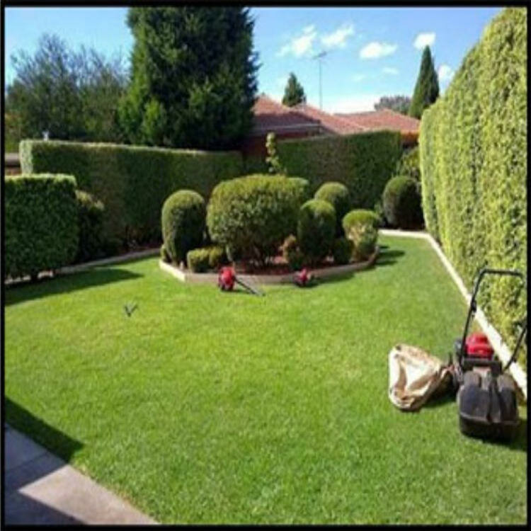 Peyzaj tasarımı Servicios De Jardinería Jr, Lima, foto