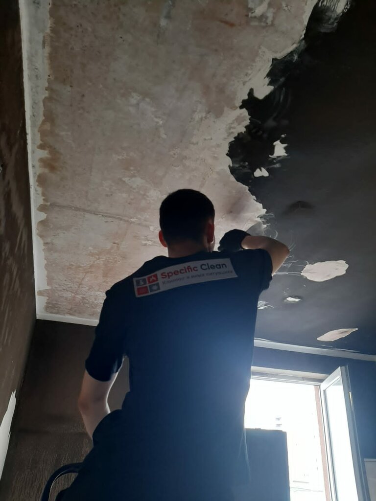 Temizlik şirketleri Specific Clean, Moskova, foto