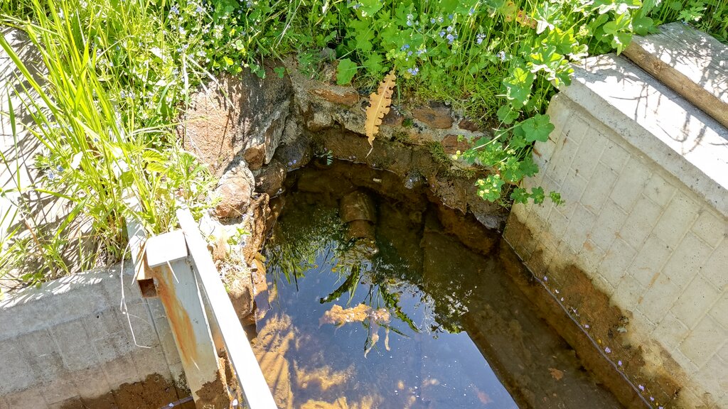 Pınar, çay Spring, stream, Yaroslavskaya oblastı, foto