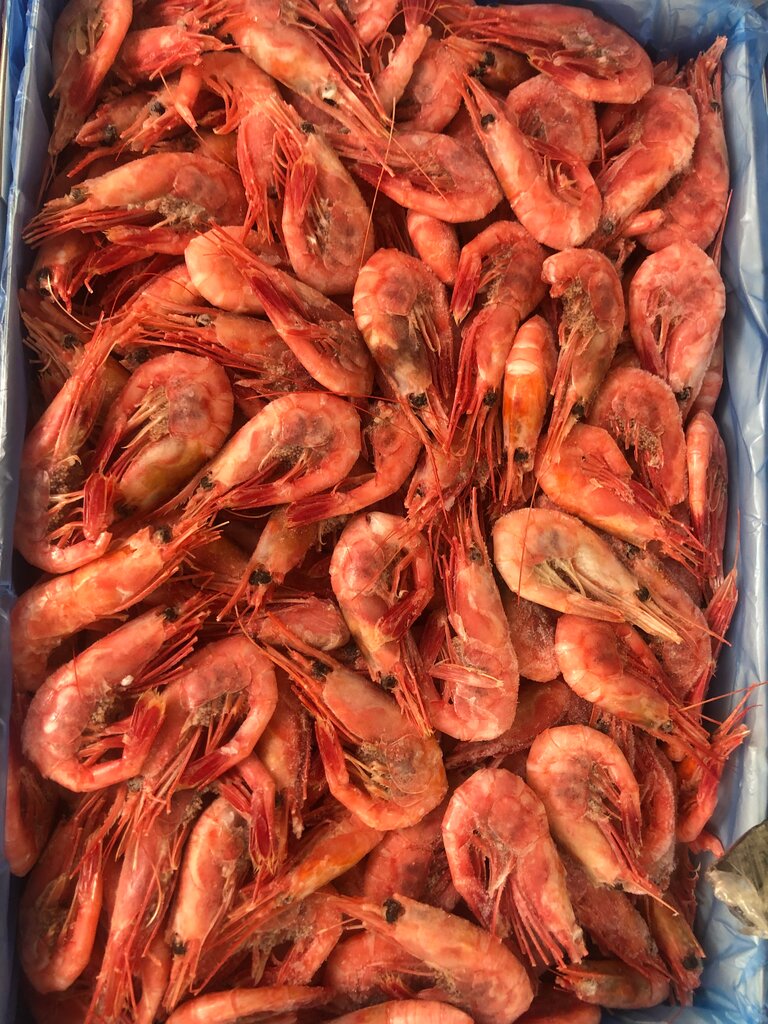 Balık ve deniz ürünleri Rakovaya № 1, Anapa, foto