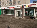 Занзагара (Lepse Street No:62), solaryumlar  Kirov'dan