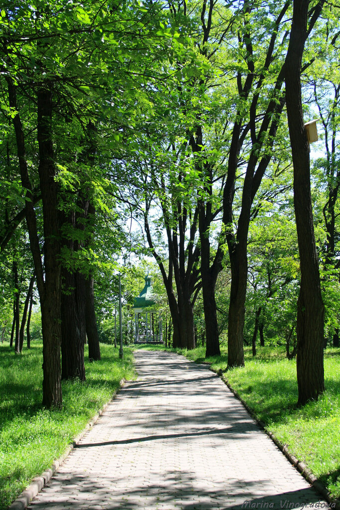 Kültür ve eğlence parkları парк Болдина Гора, Chernigov, foto