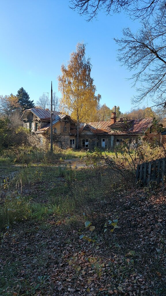 Yaz kampı Детский психоневрологический санаторий № 25, Moskova, foto