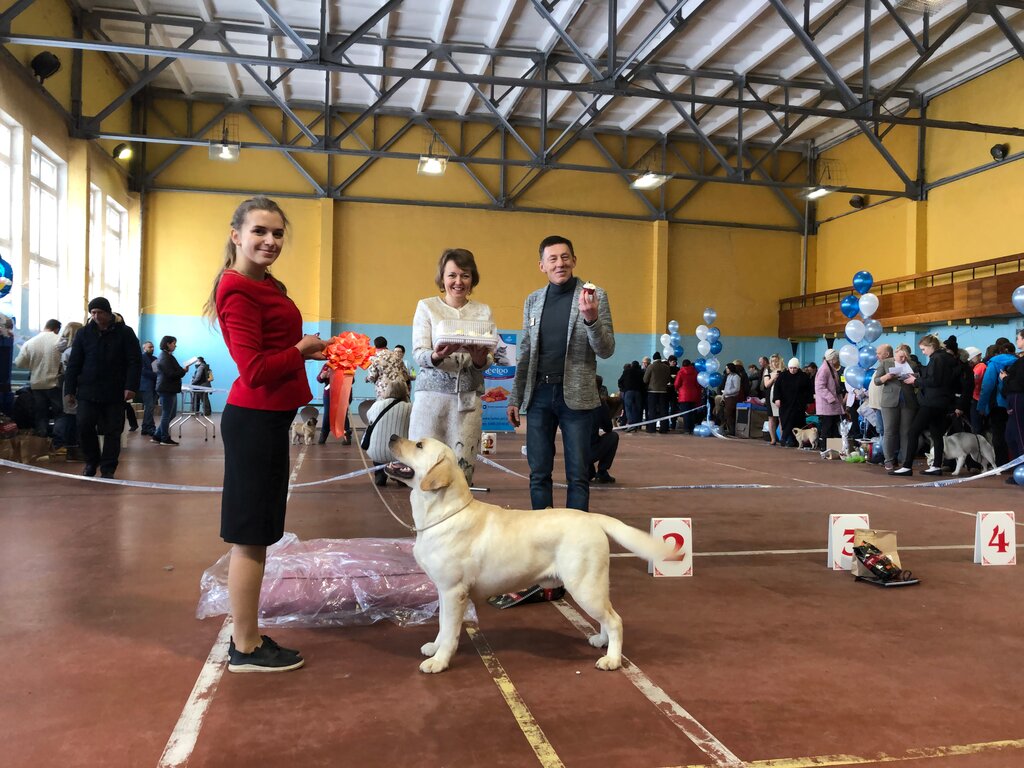 Evcil hayvan yetiştiricileri AlbaDelMarina, Çeliabinsk, foto