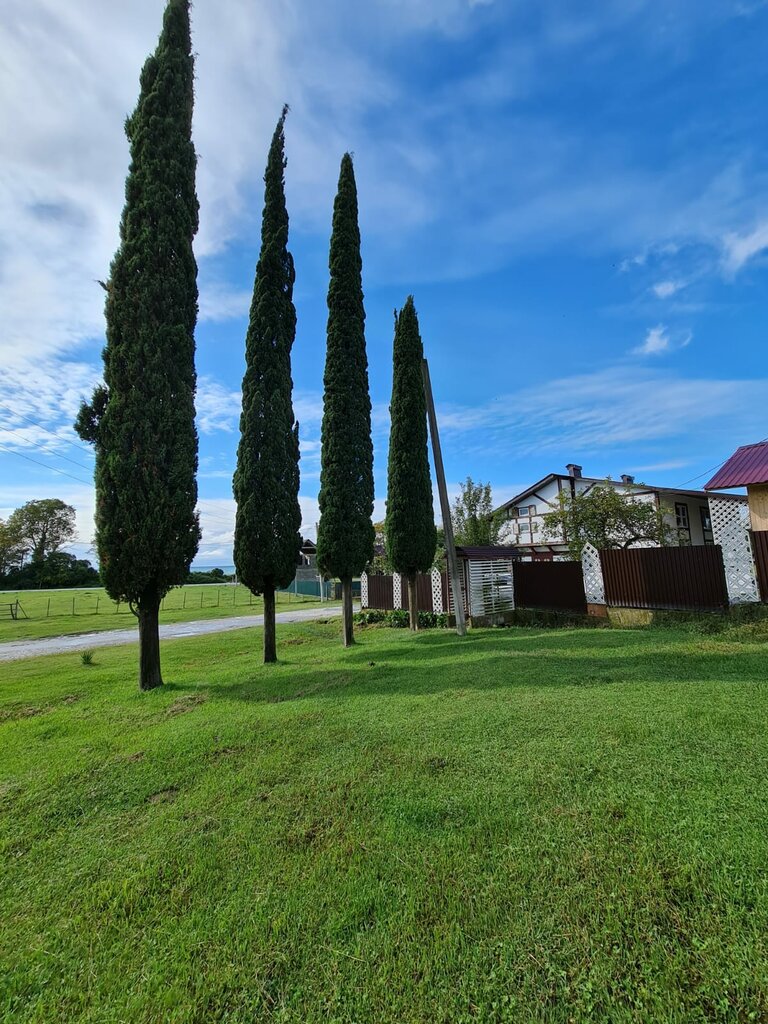 Pansiyonlar, hosteller U Kiparisov, Gudauta Bölgesi, foto