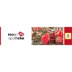Rosen-Apotheke (Baden-Württemberg, Calw), eczaneler  Baden‑Wurttemberg'den