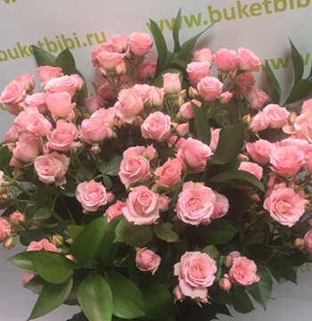 Çiçekçiler БукетБиБи, Krasnoyarsk, foto