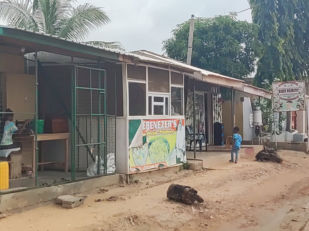 Restoran Ebenezer's Special Fried Rice, Dünya, foto