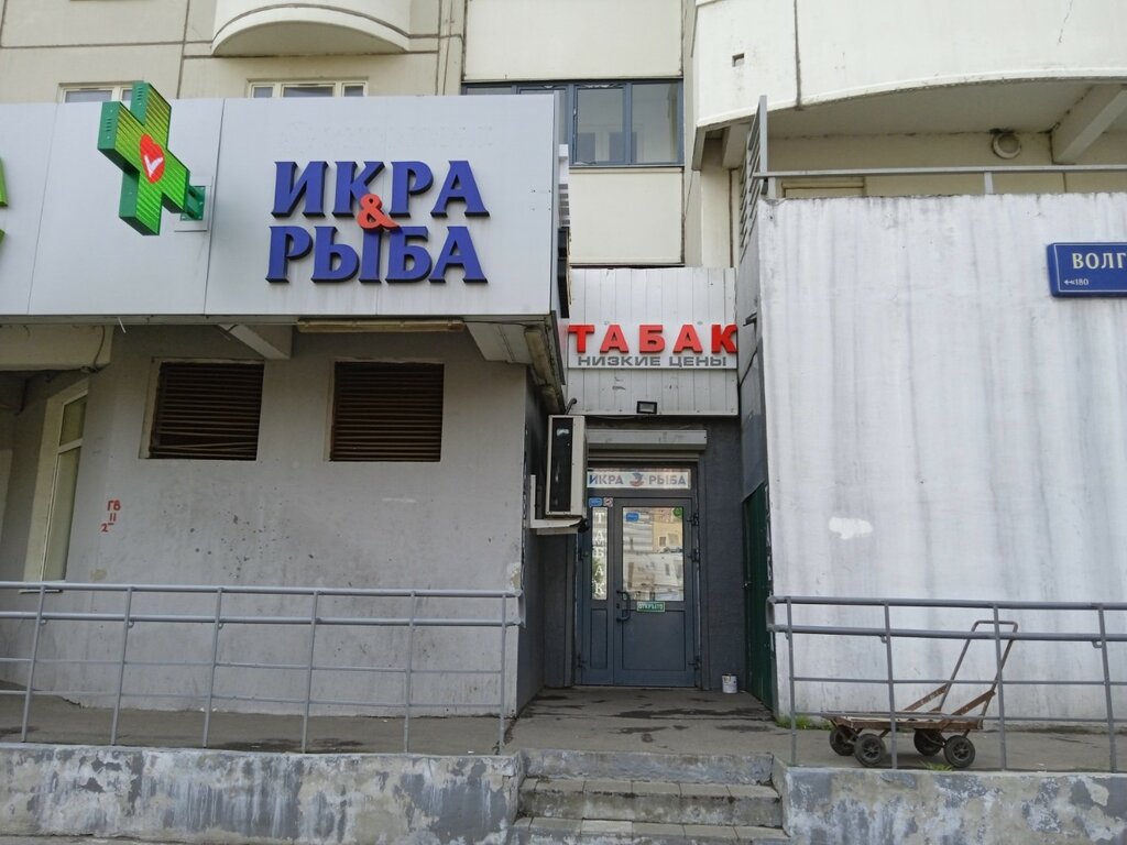 Balık ve deniz ürünleri Ikra-riba, Moskova, foto