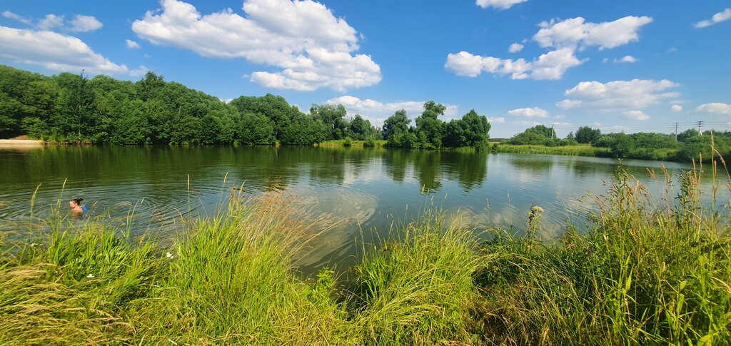 Plaj Пляж, Moskova ve Moskovskaya oblastı, foto