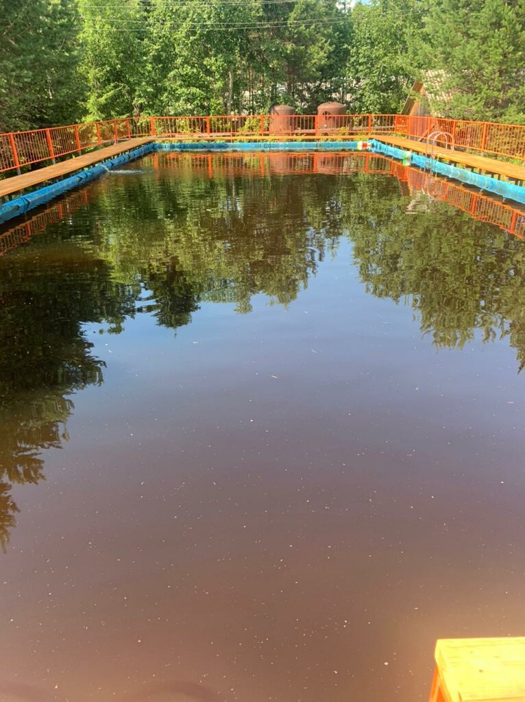 Yaz kampı Burevestnik Detsky Ozdorovitelno-Obrazovatelny Lager, Arhangelskaya oblastı, foto