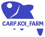 Carp koi (Shkolnaya Street No:31, Novosyanovo Village), balık çiftçiliği ve toptancıları  Moskova ve Moskovskaya oblastından